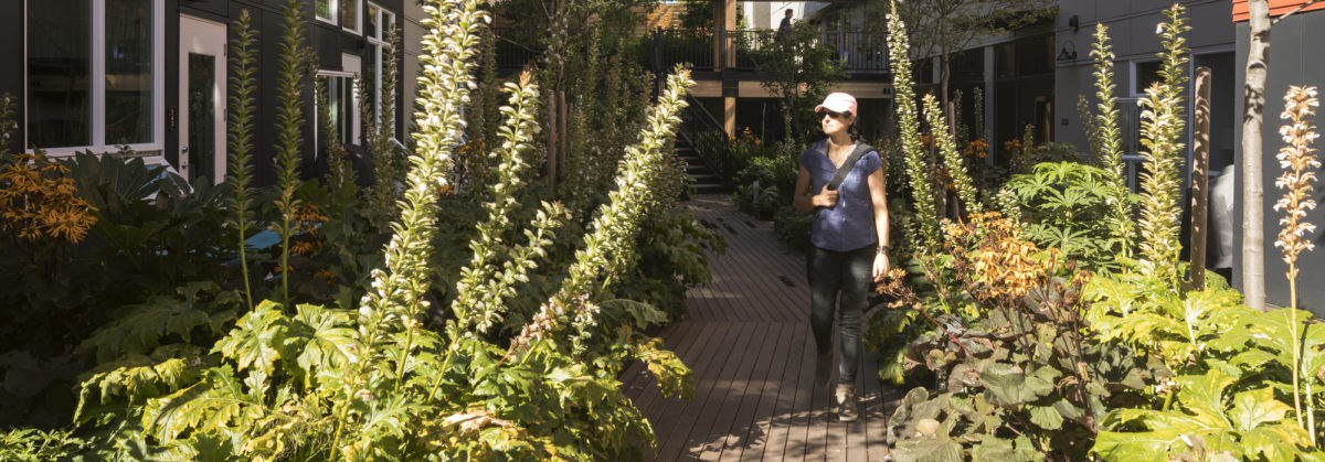 Climate Positive Design – GGLO